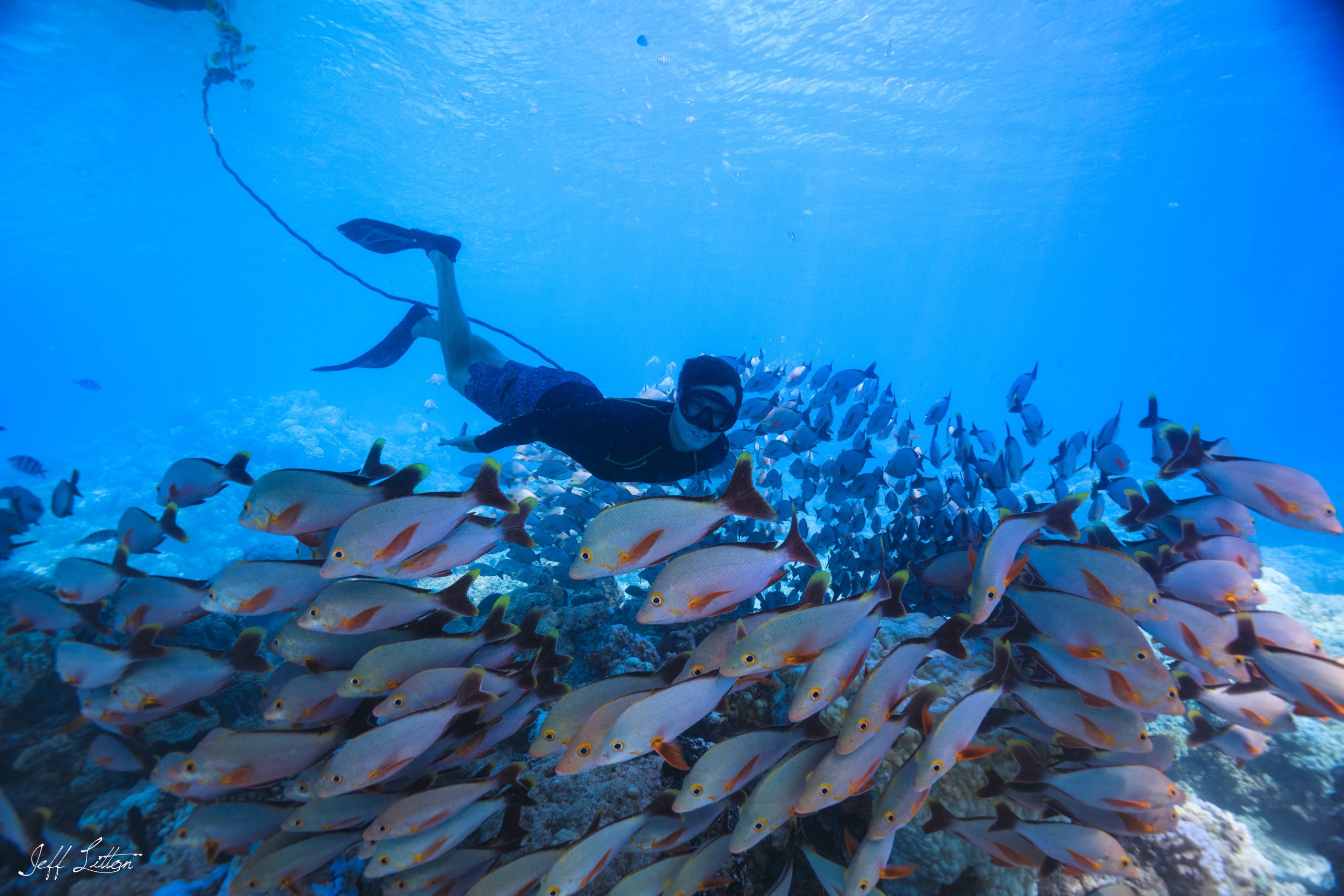 About Chris Cook - Chris Cook Naturalist